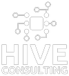Hvem er disse folkene du omgir deg med? — Hive Consulting AS