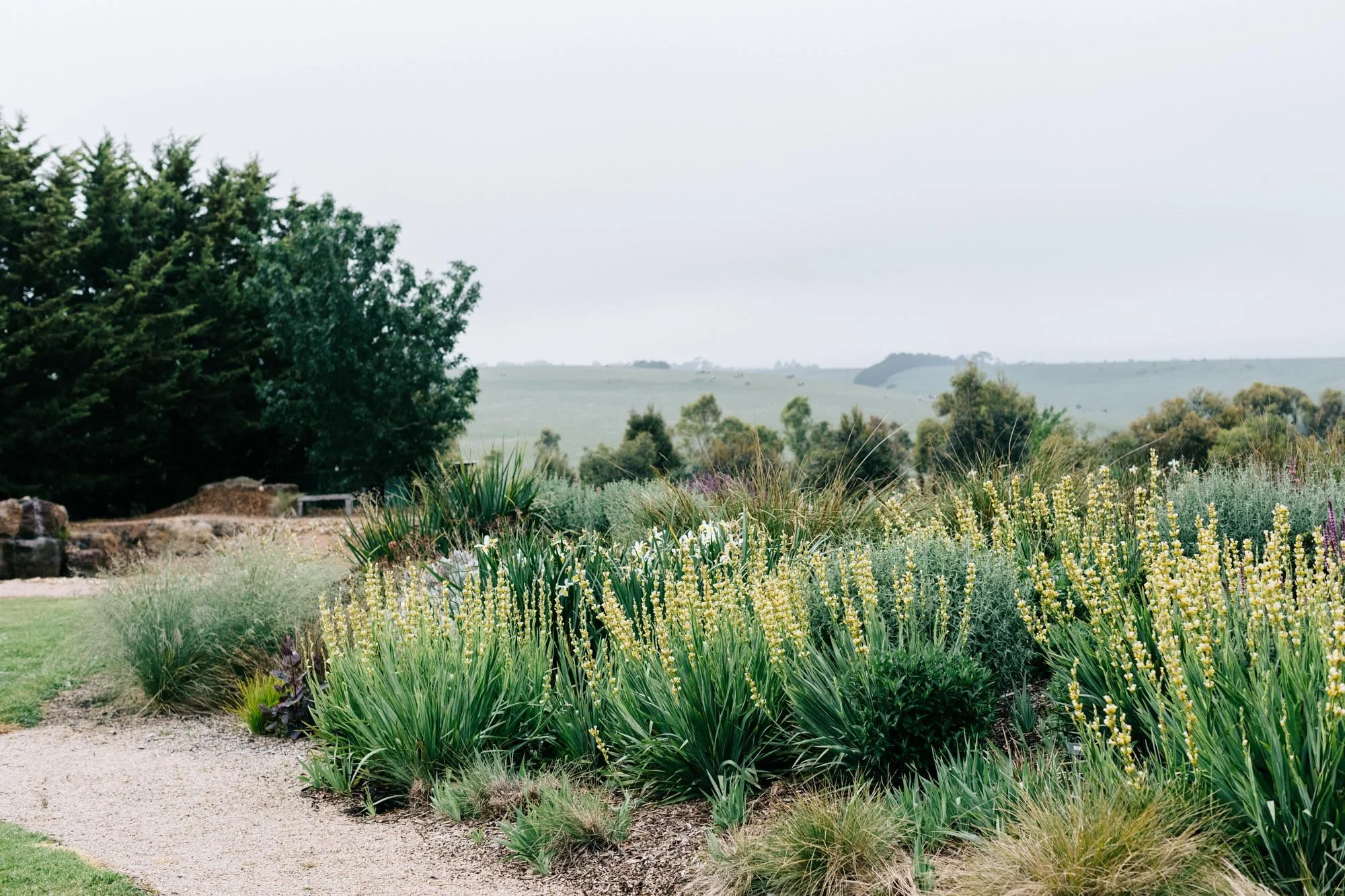 Creating a Waterwise Garden - KMLD - Kathleen Murphy Landscape Design
