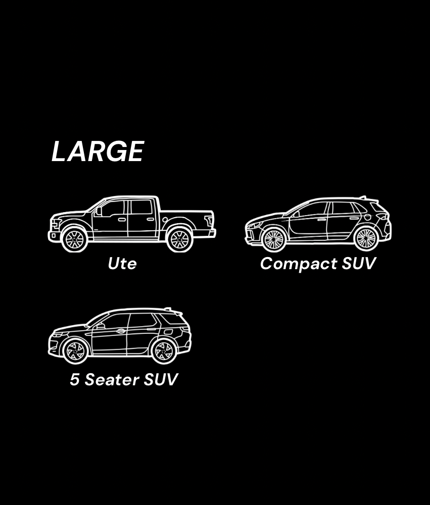 Paint Correction and Ceramic Coating — Darkside Detailing