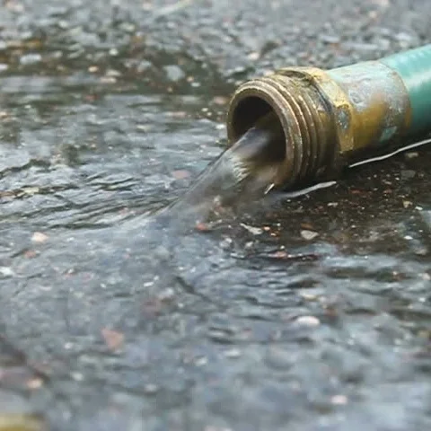 Tips for Saving Water in Your Landscape