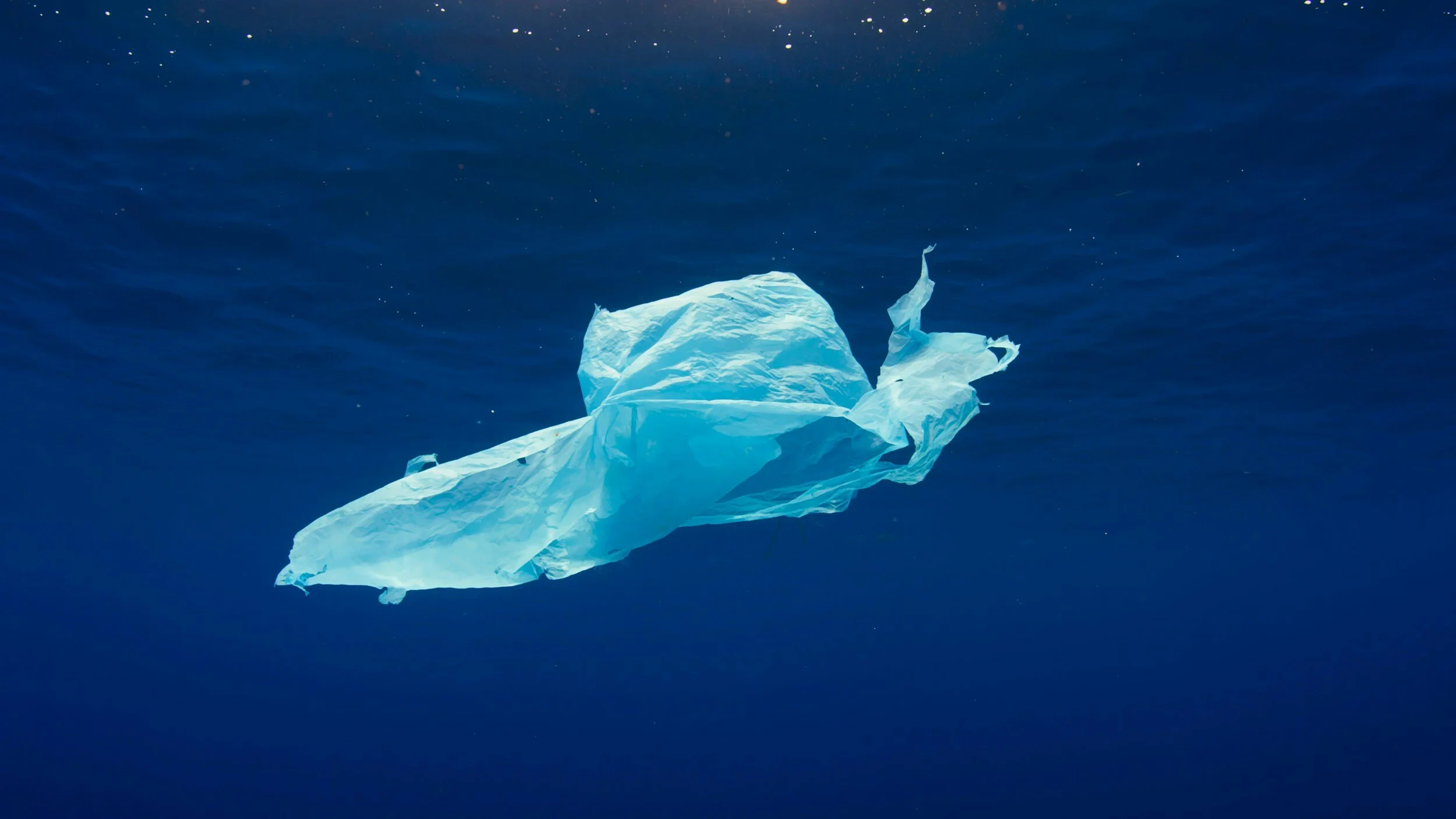 Top 10 Plastic Polluters — 5 Gyres