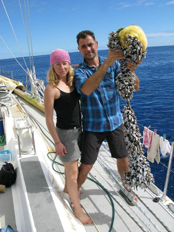 About Us — 5 Gyres
