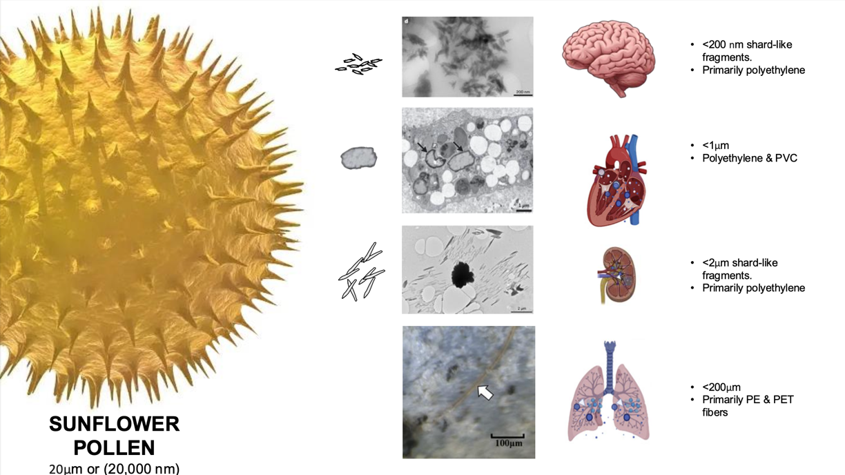 EPA & HHS Take on Microplastics: A Scientist’s Perspective — 5 Gyres