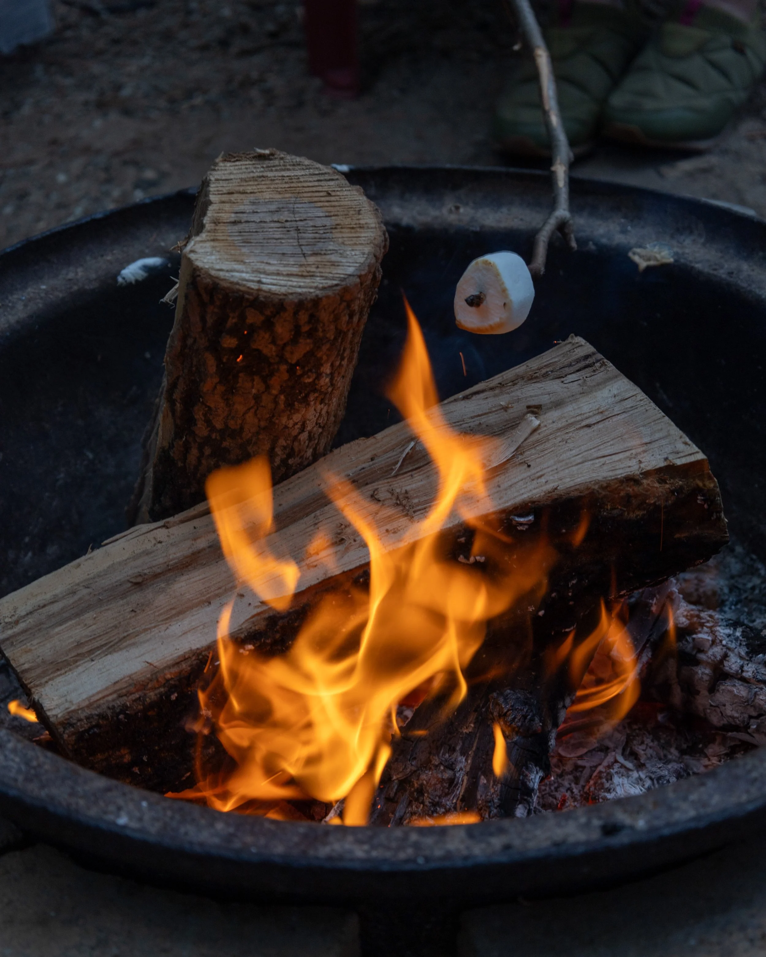 Tiny Village Woodland (Formerly Woodland Park Arden) - Ontario Glamping ...