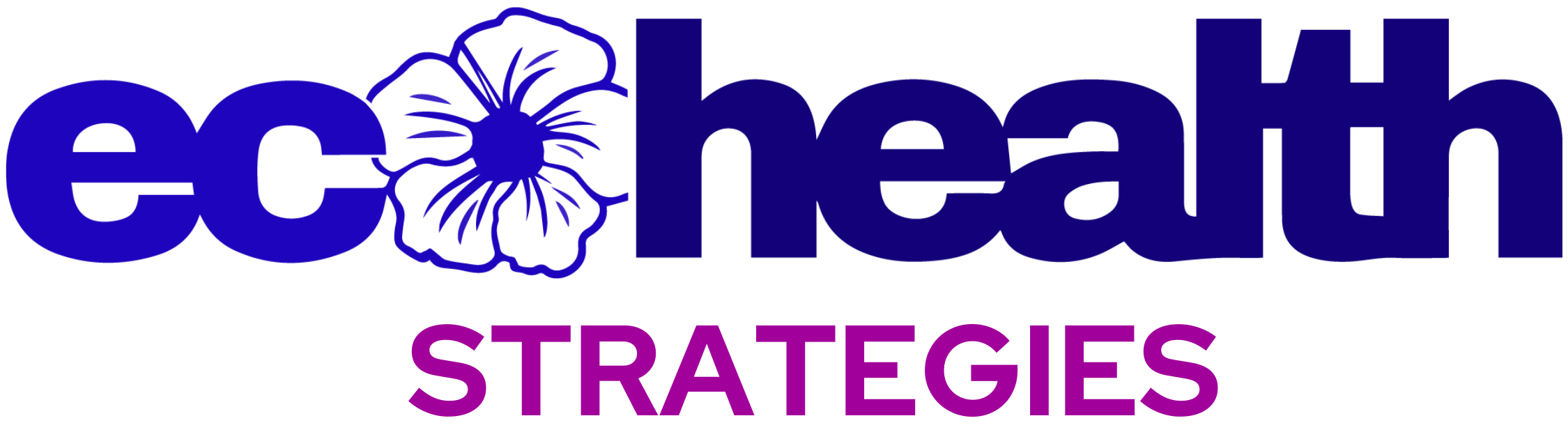 Our Team | Discover Our Experts — EcoHealth Strategies