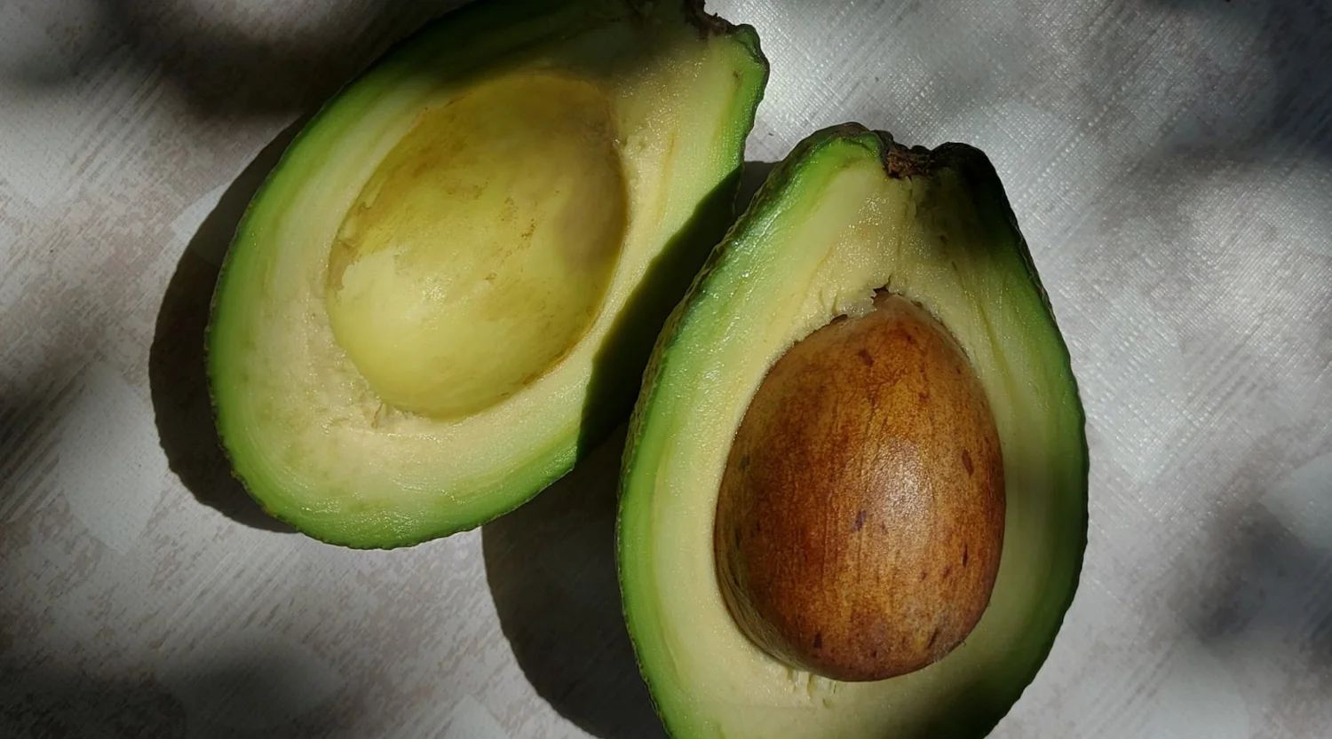 Resources — Avocado Growers of California