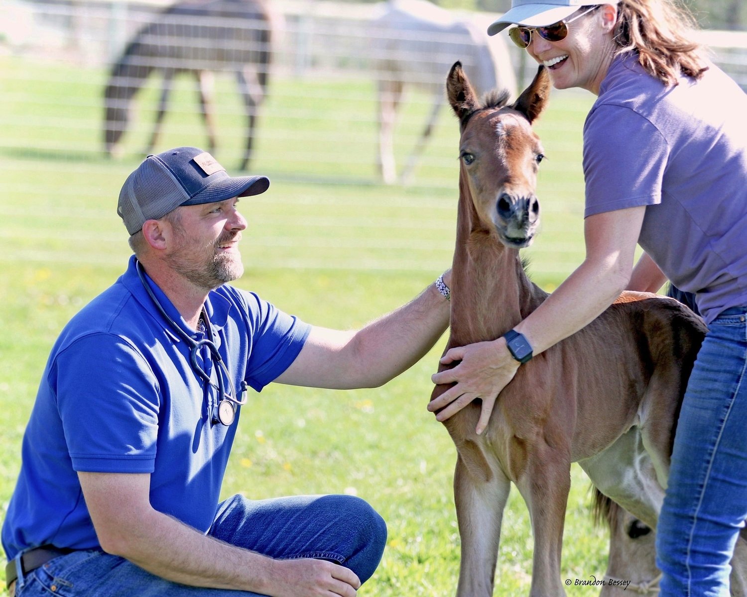 Services — Tumalo Ridge Equine