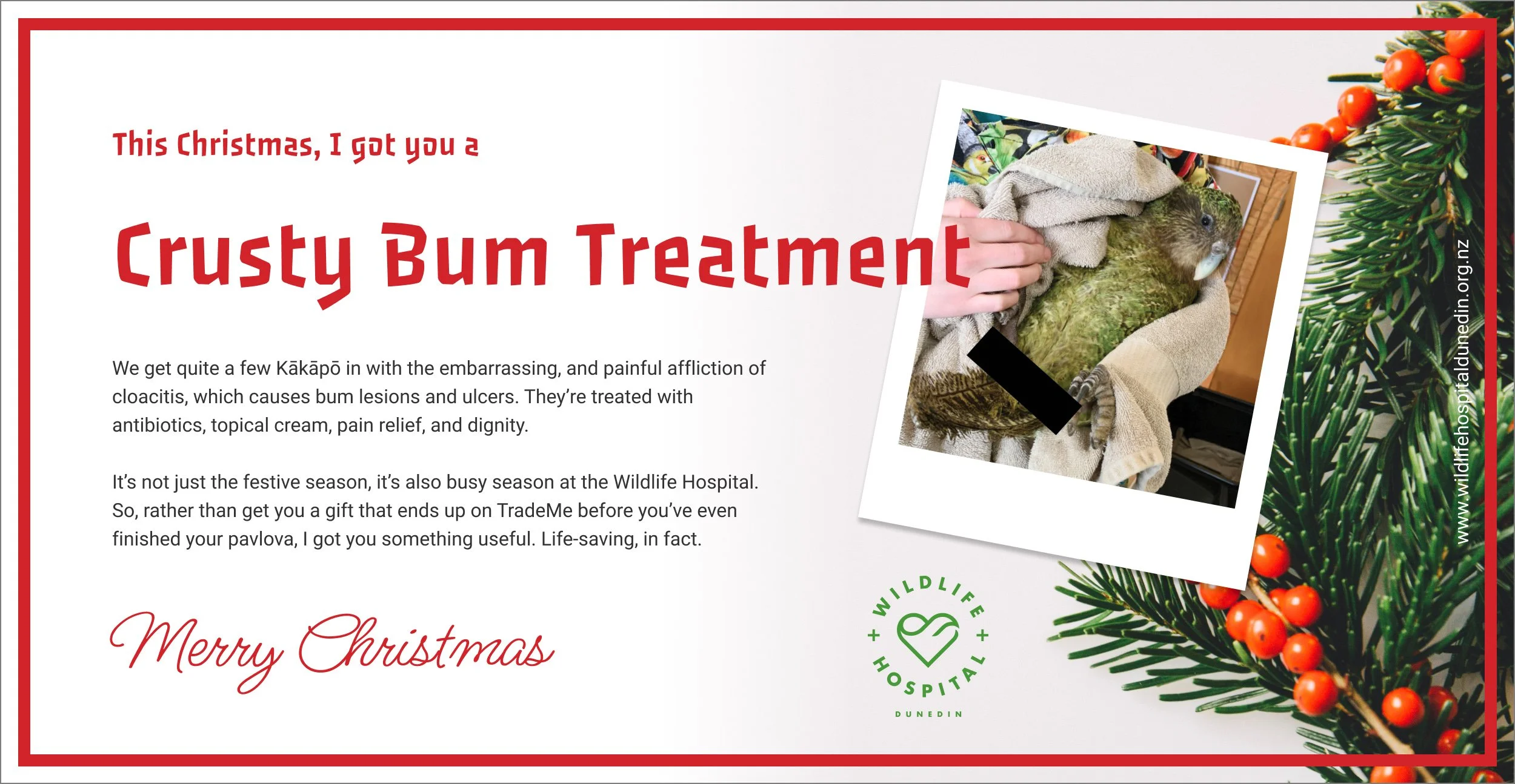 Virtual Xmas Gifts — The Wildlife Hospital