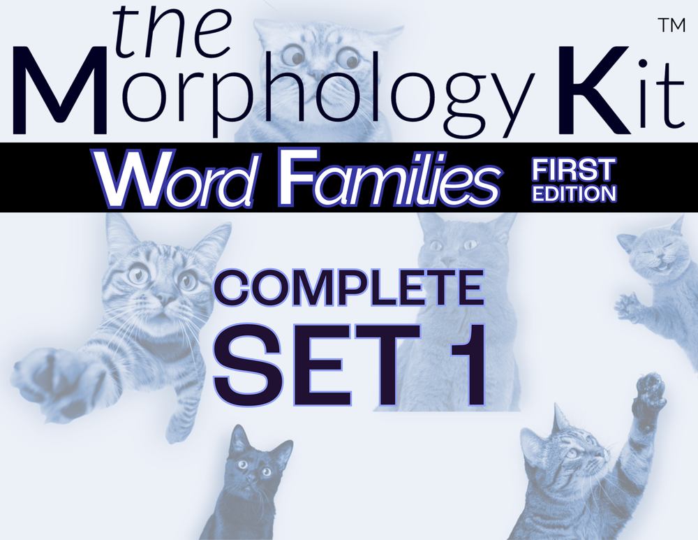 Sound Literacy Solutions