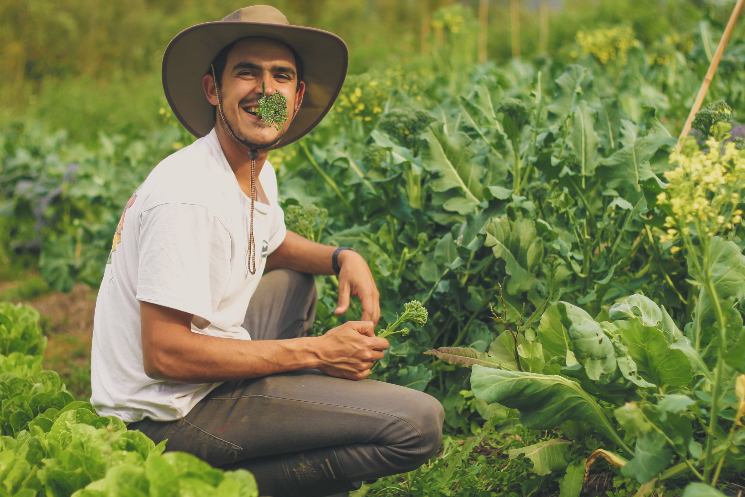 2024 Northern Rivers Grants Recipients — Ingrained Foundation