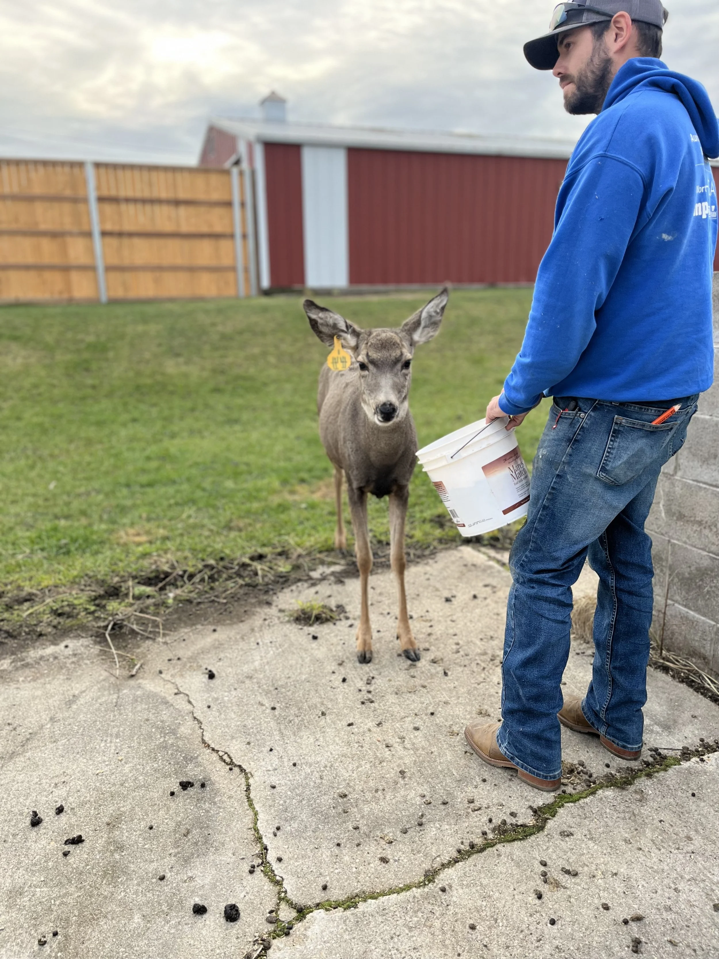 Who we are — Paris Deer Park