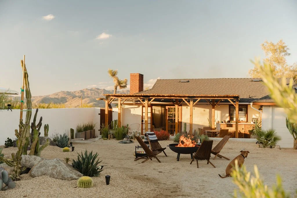 Dog-Friendly Things to Do in Joshua Tree — STAY WITH TERRA