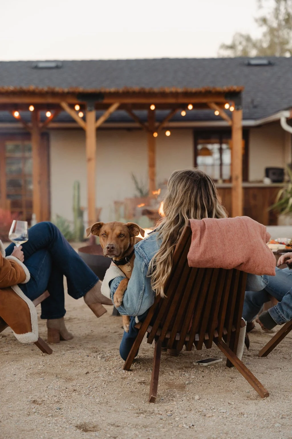 Dog-Friendly Things to Do in Joshua Tree — STAY WITH TERRA