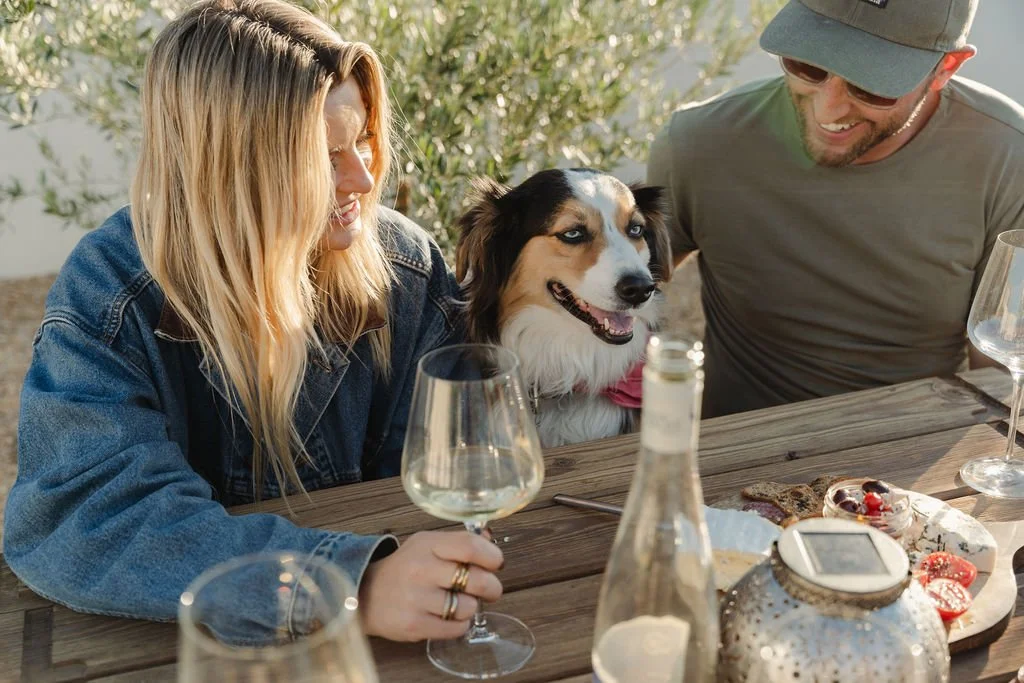 Dog-Friendly Things to Do in Joshua Tree — STAY WITH TERRA