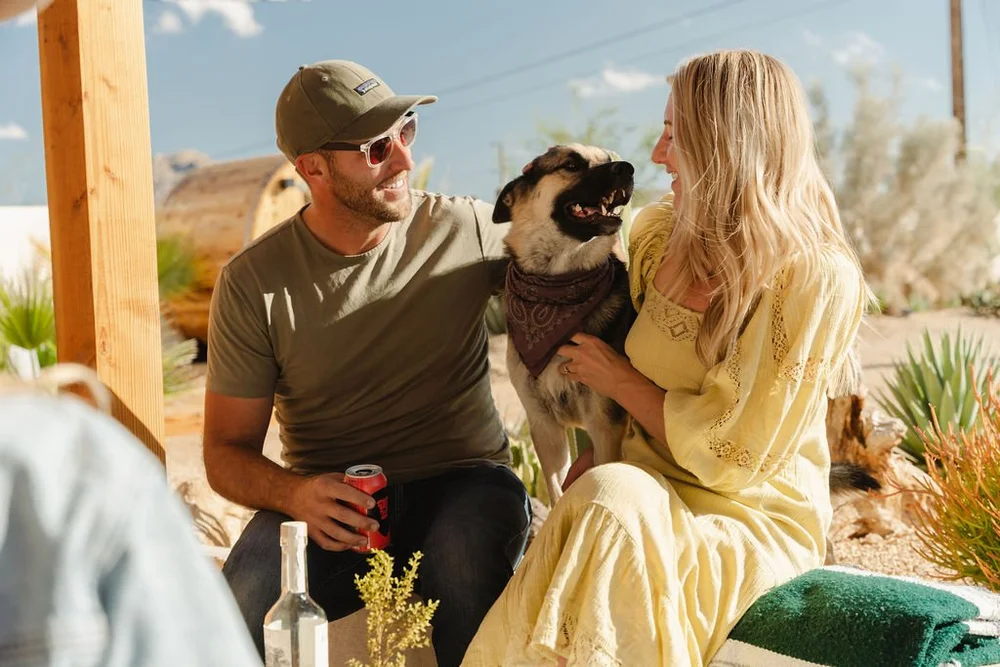 Dog-Friendly Things to Do in Joshua Tree — STAY WITH TERRA