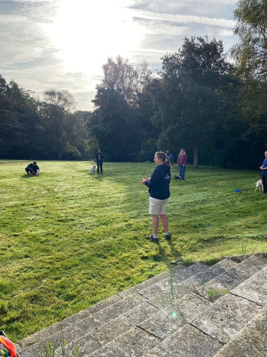 Group Classes — Dog Handler Training