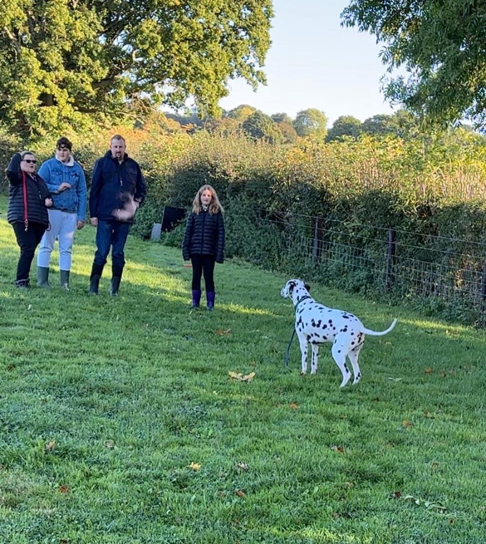 Fun Gundog Level 1 — Dog Handler Training