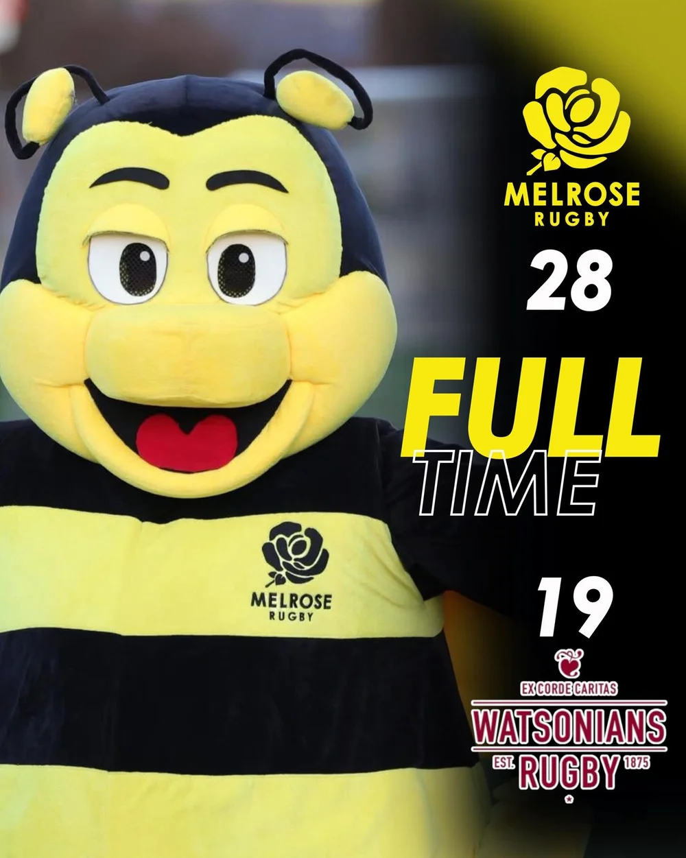 Match Report — Melrose Rugby