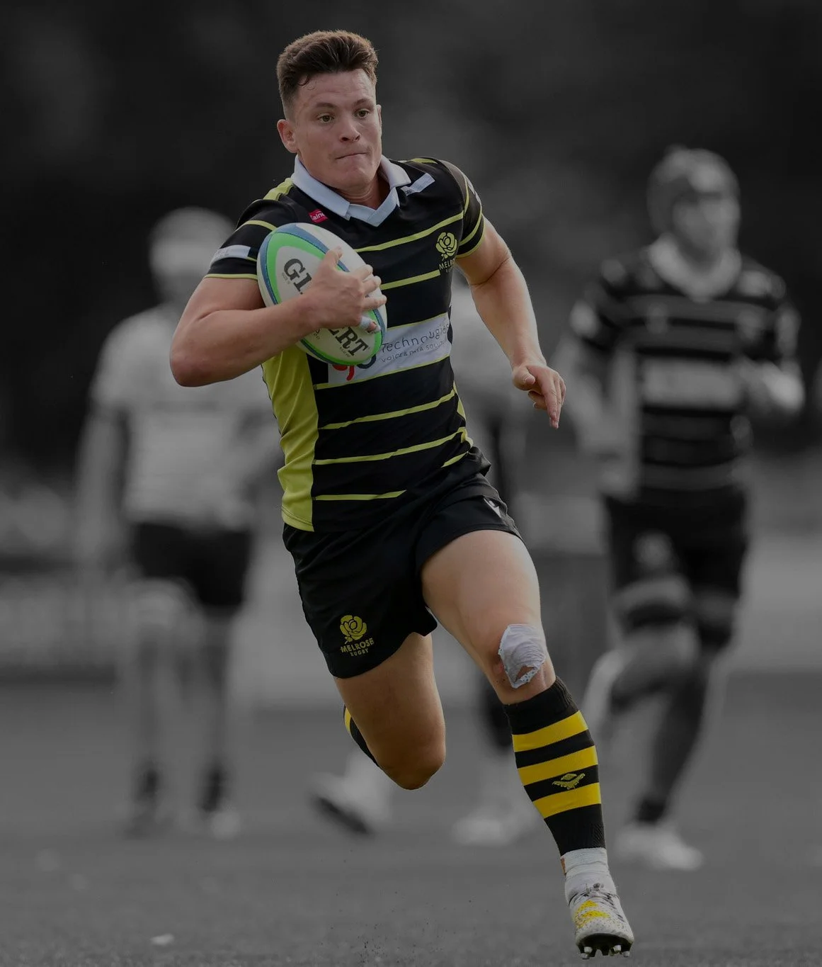 PARTNERSHIPS — Melrose Rugby