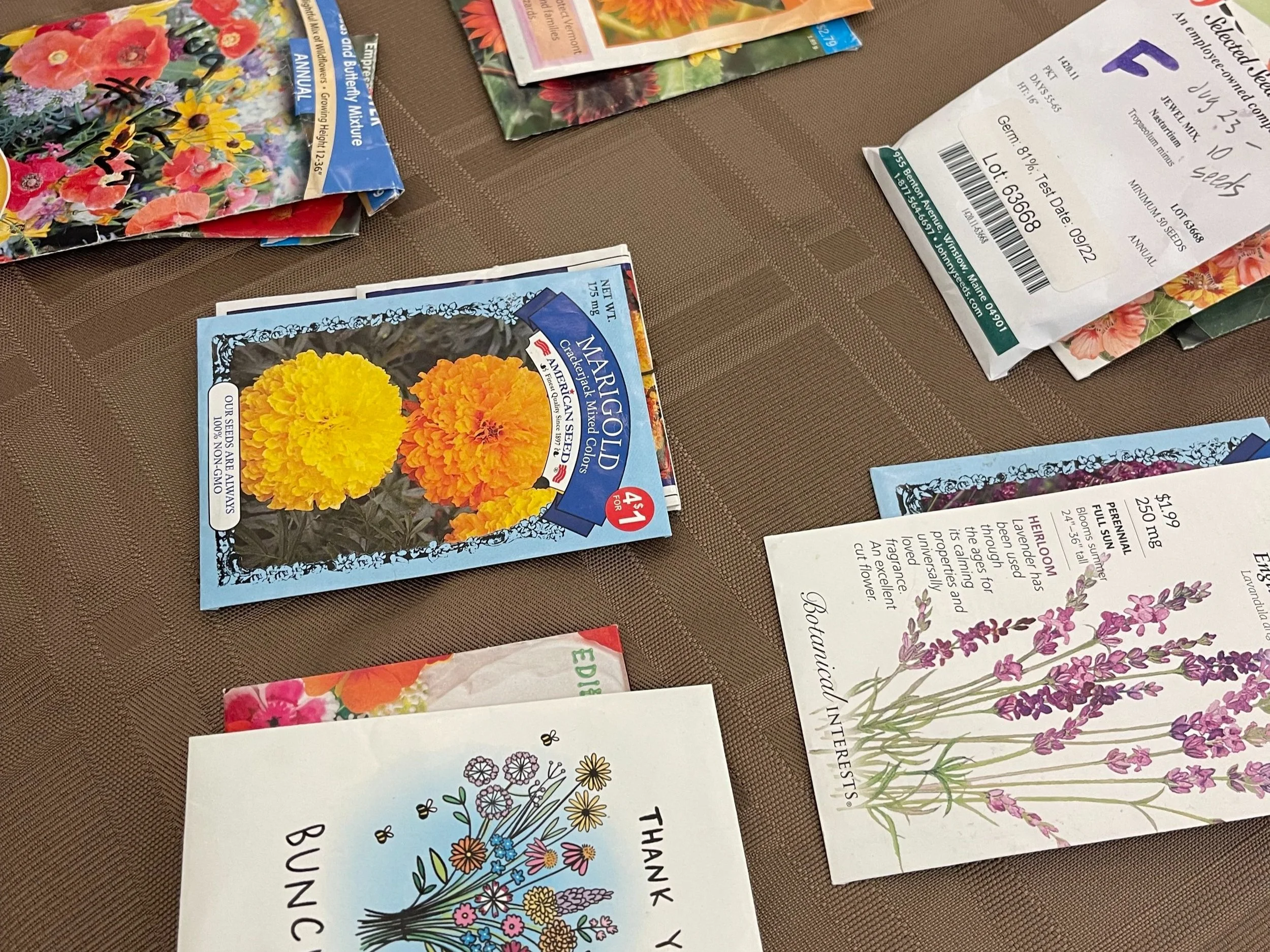 What Is National Seed Swap Day Tasty Harvests What Is National Seed Swap Day Tasty Harvests