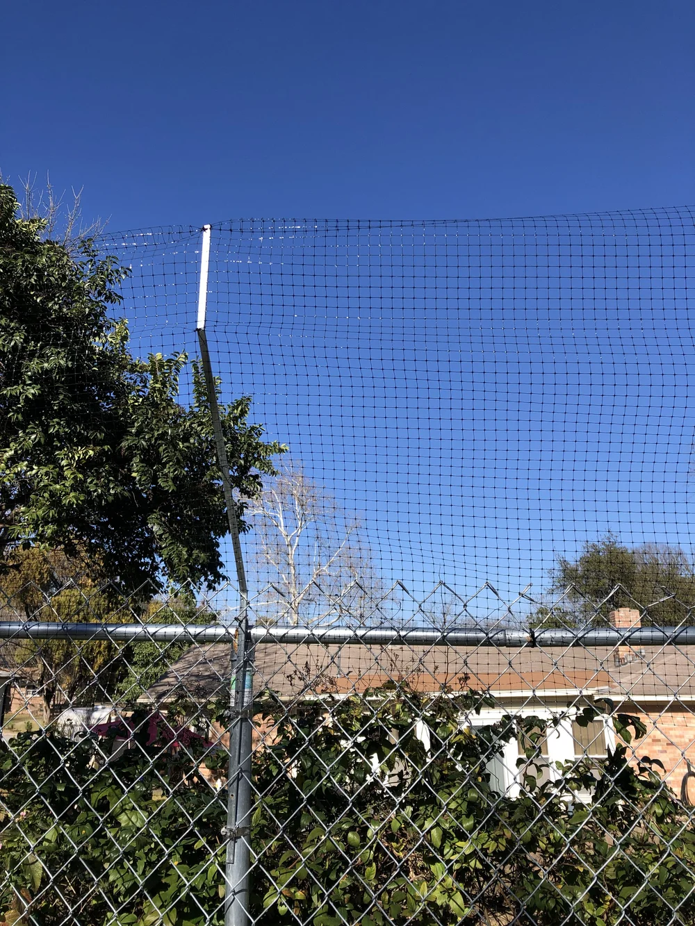 Product — Affordable Cat Fence