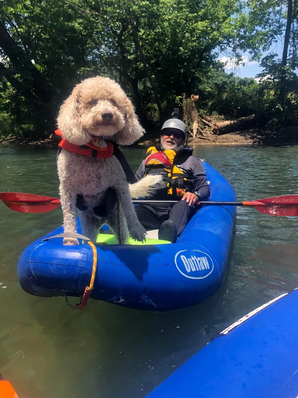 Board Officers — APEs