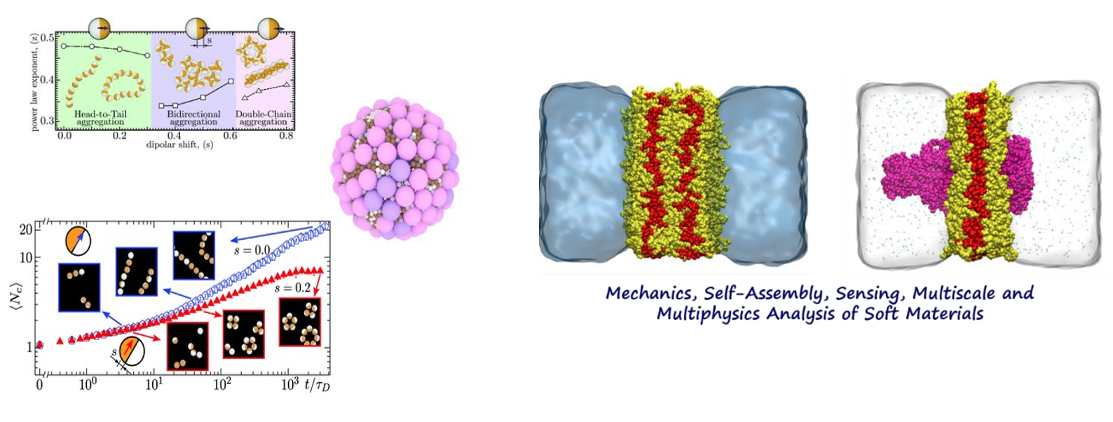 What Can Soft Matter Do? Exploring a Rising Field in Science — Ubaldo M ...