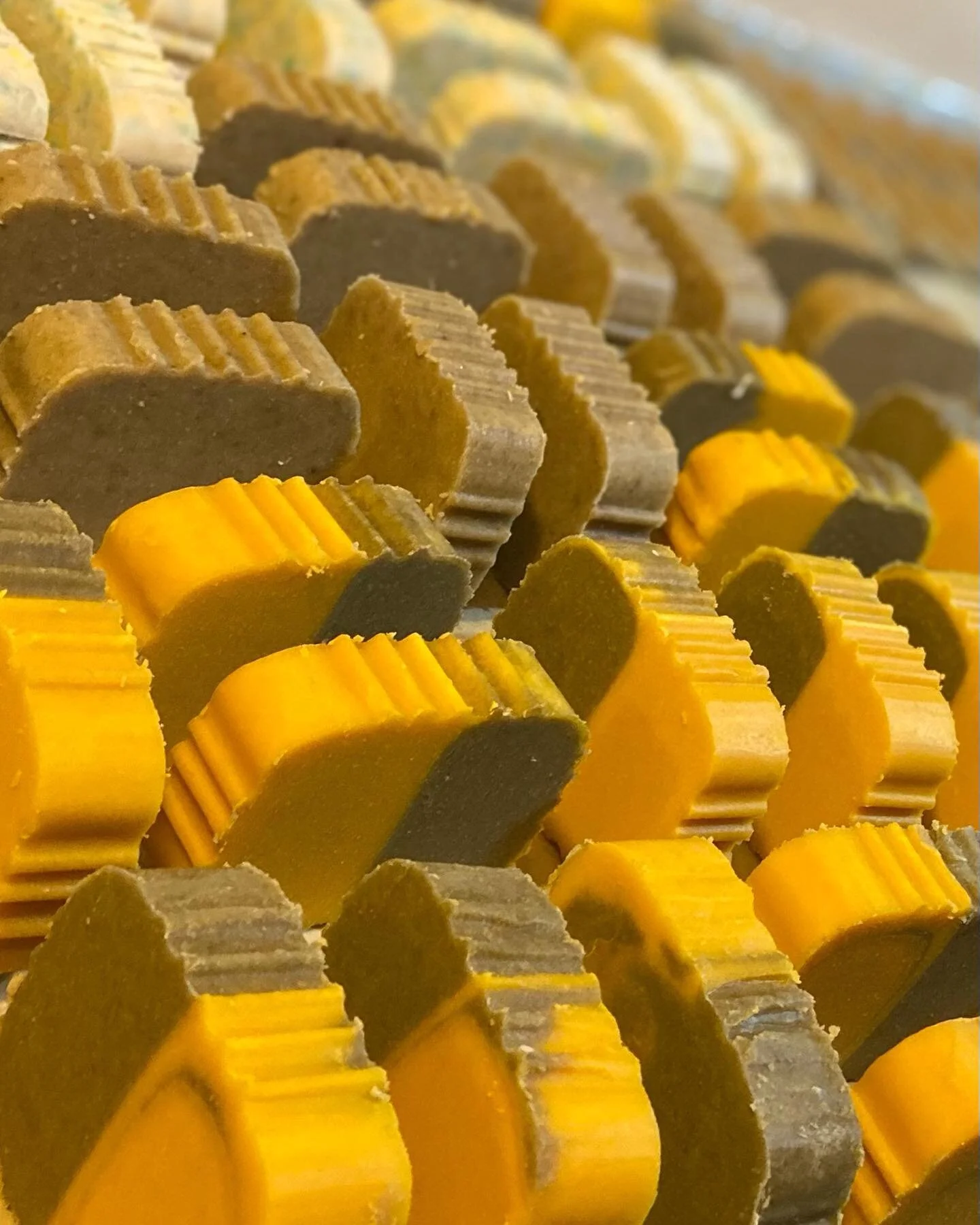 What is a Refillery? — Waterfront Refillery