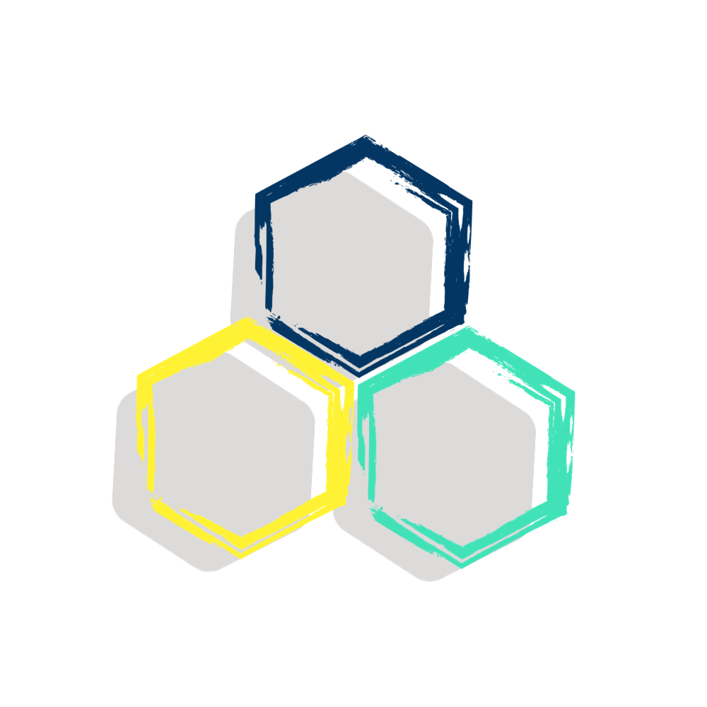 Team — Honeycomb Coaching