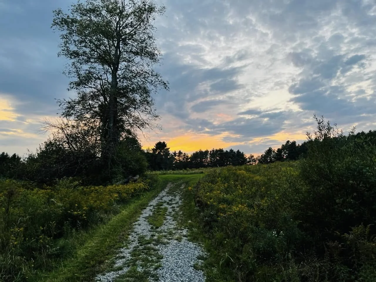 About 1 — Land Peace Foundation