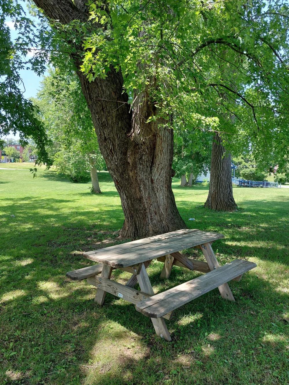 Visit — Friends of Fort Hardy Park