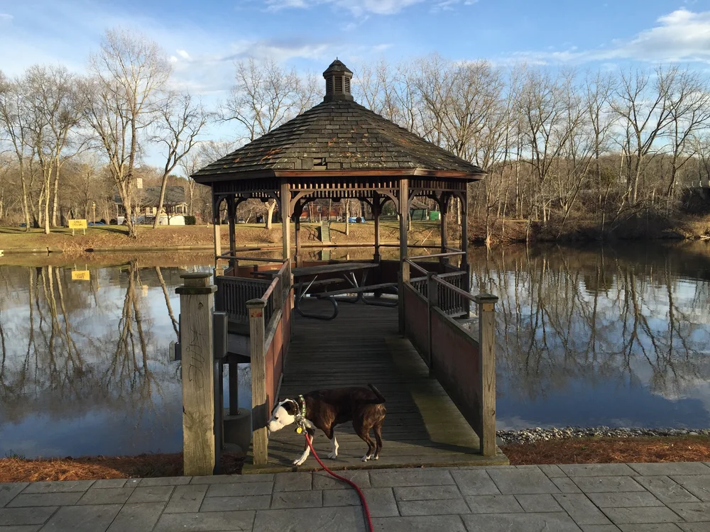 Visit — Friends of Fort Hardy Park