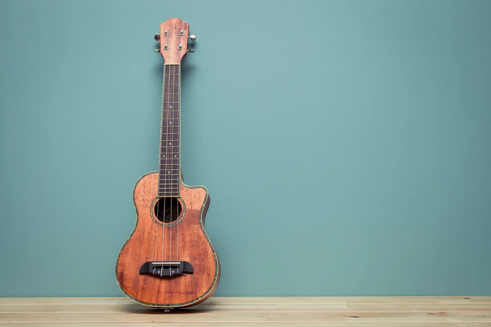 Store 1 — The Ukulele Project