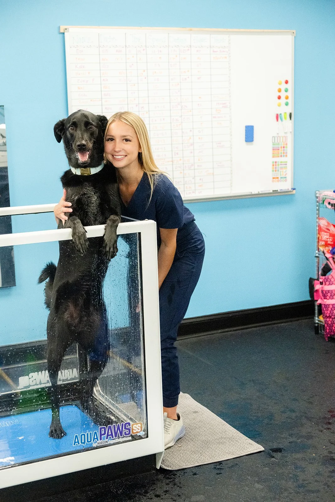 Meet The Team | Monmouth County, NJ — The Doggy Gym