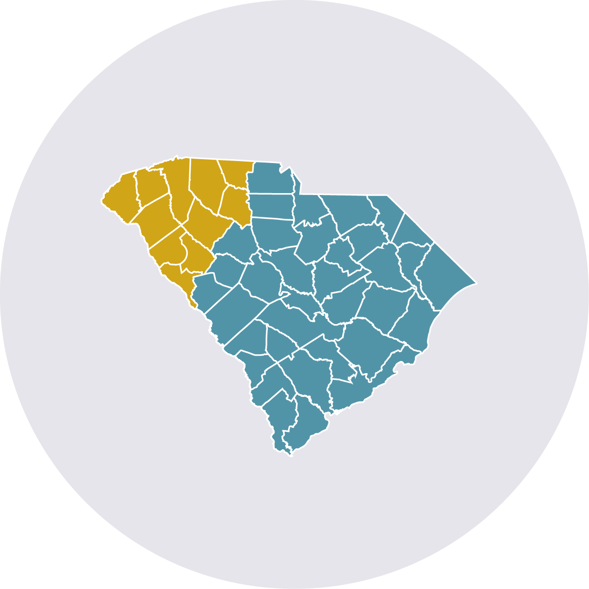 Your Health Organization