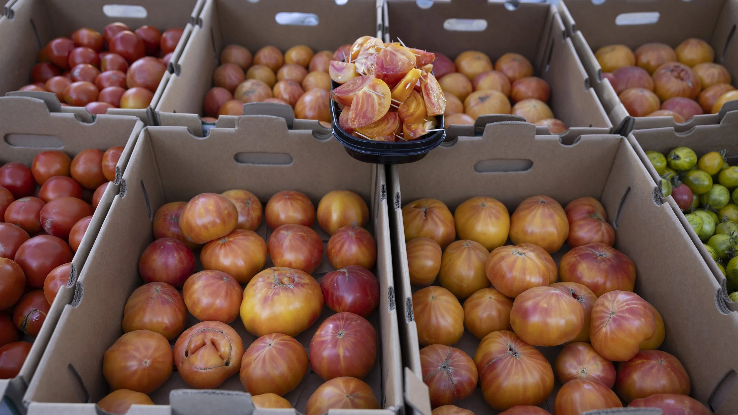 Watts-Willowbrook Farmers' Market — Food Access LA