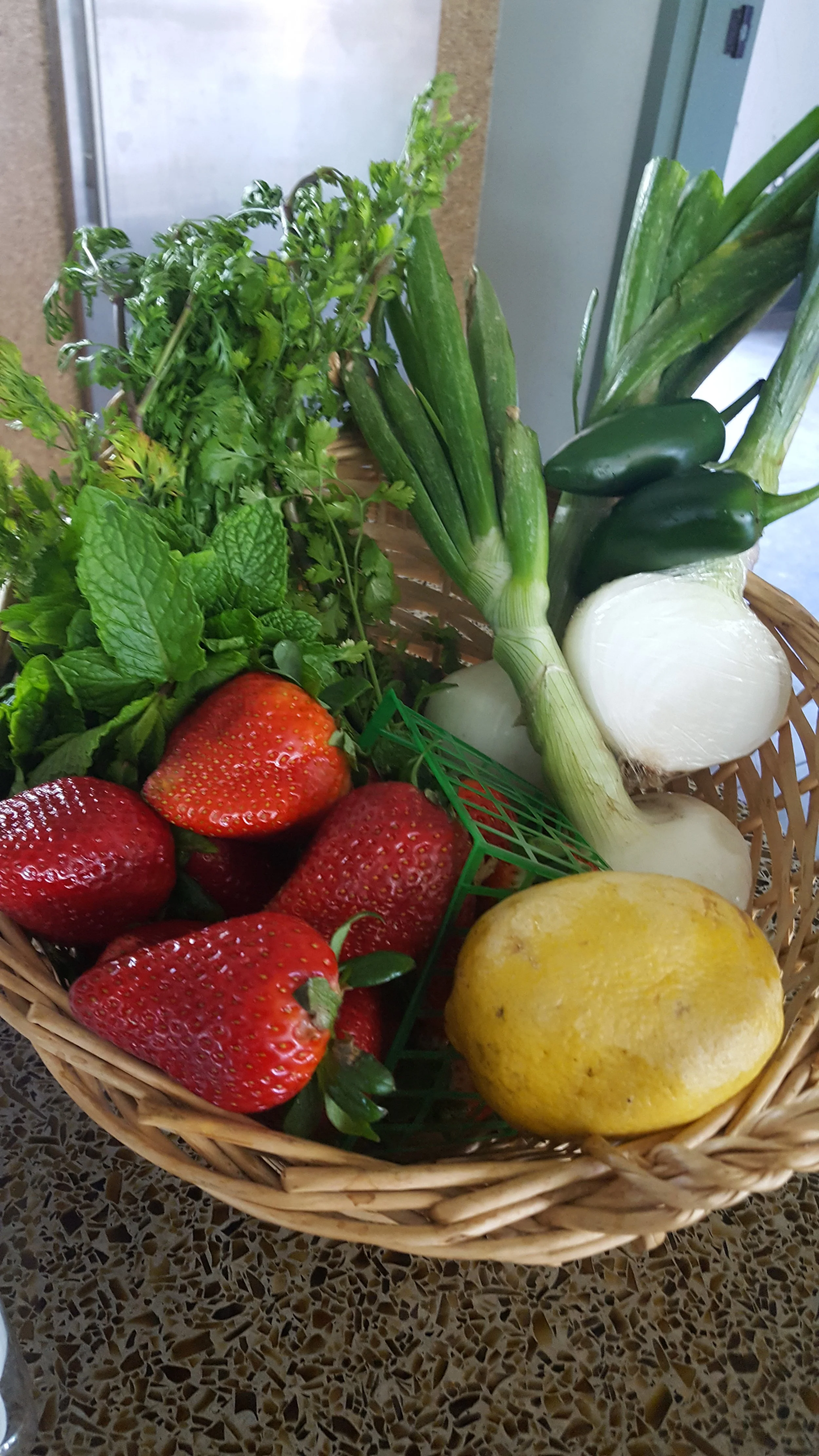 CalFresh Healthy Living — Food Access LA