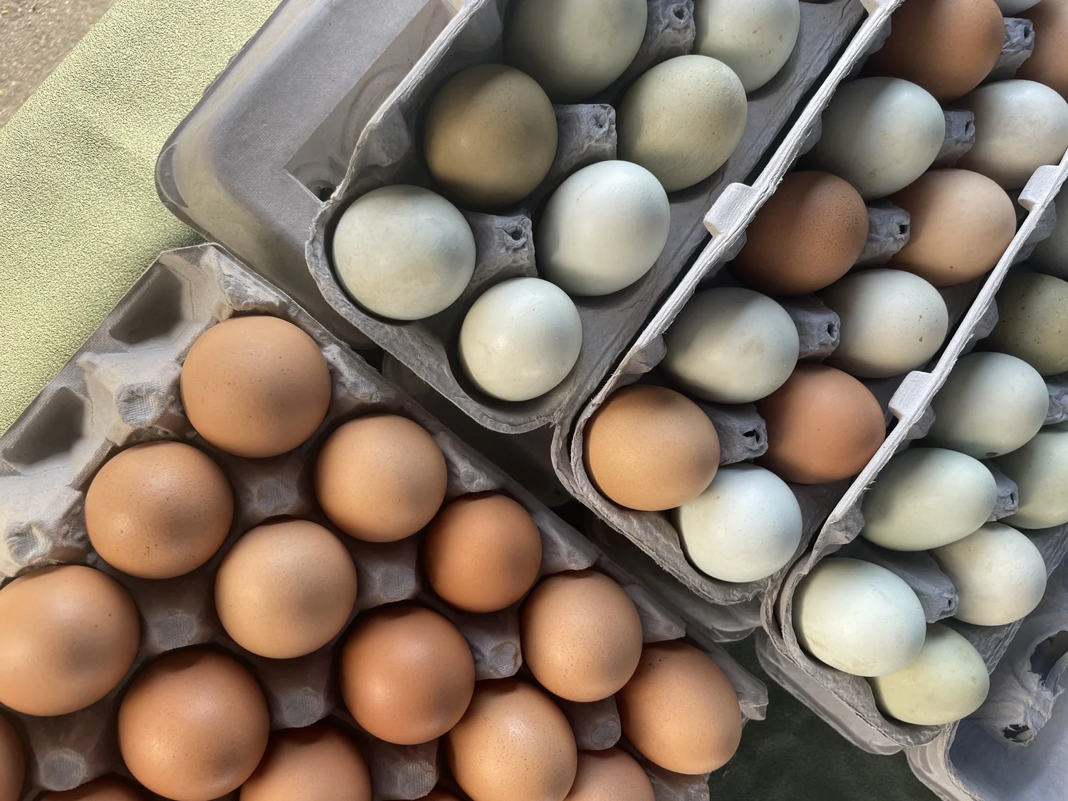 CalFresh EBT — Food Access LA