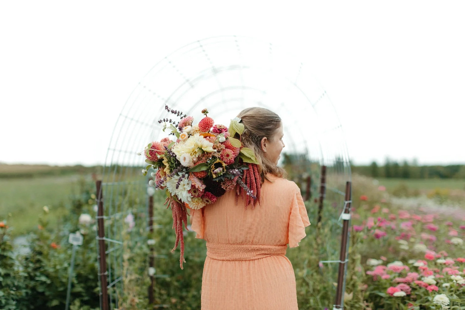 Gallery — Basket of Flowers Farm