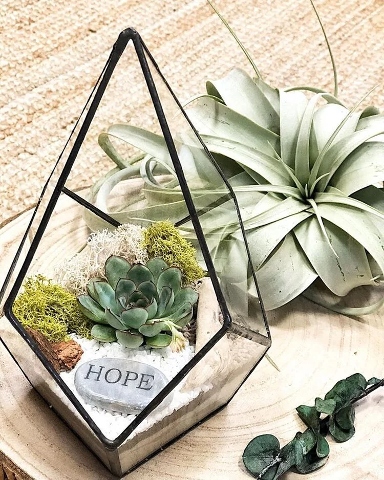 Modern Terrarium Bar