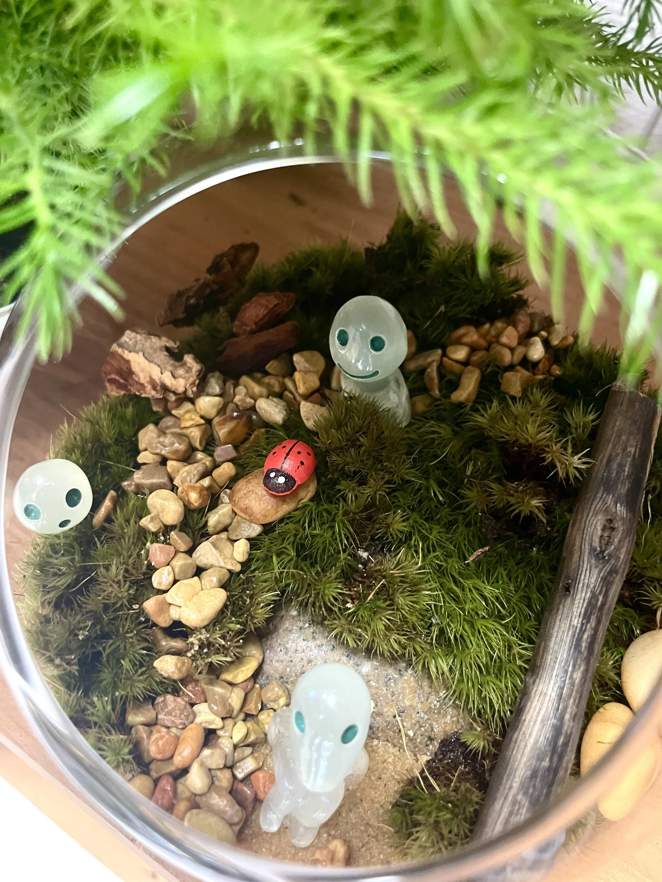 Shop — Modern Terrarium Bar