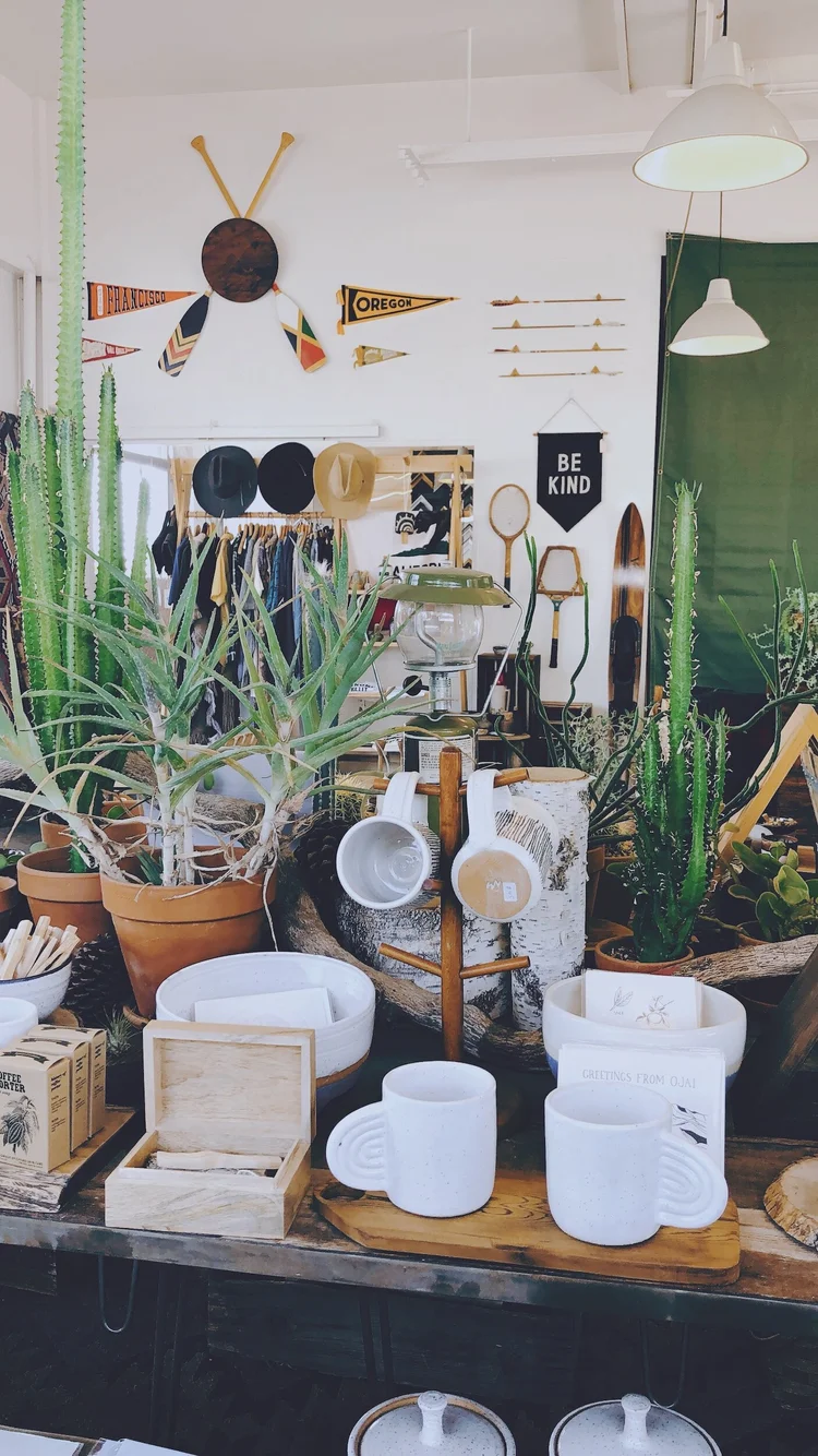 Modern Terrarium Bar