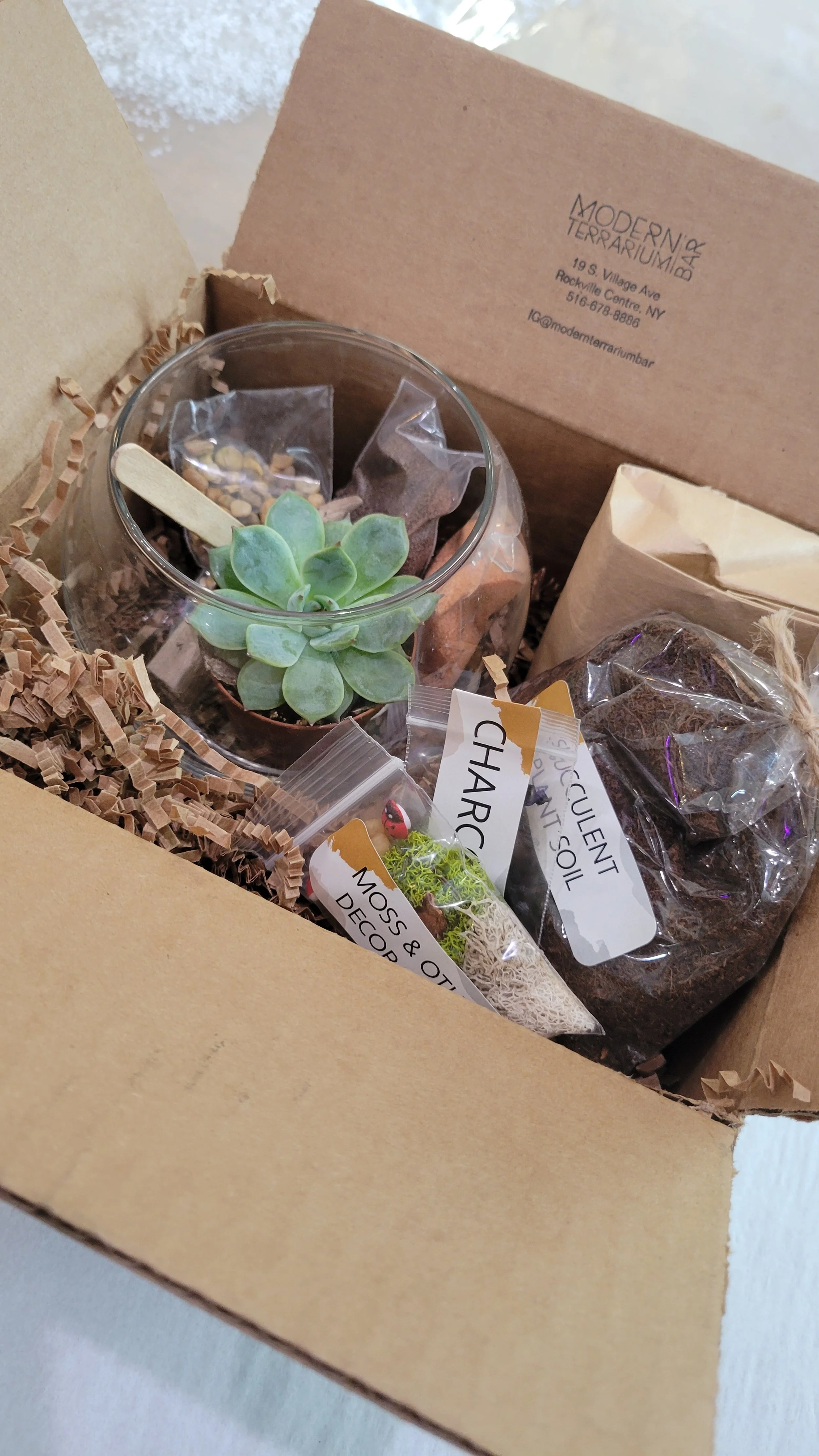Shop — Modern Terrarium Bar