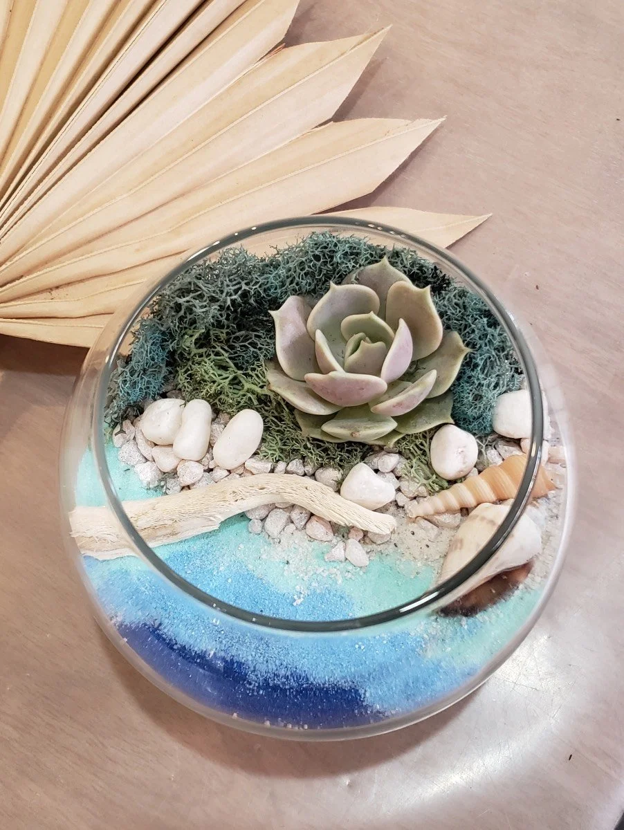 Shop — Modern Terrarium Bar