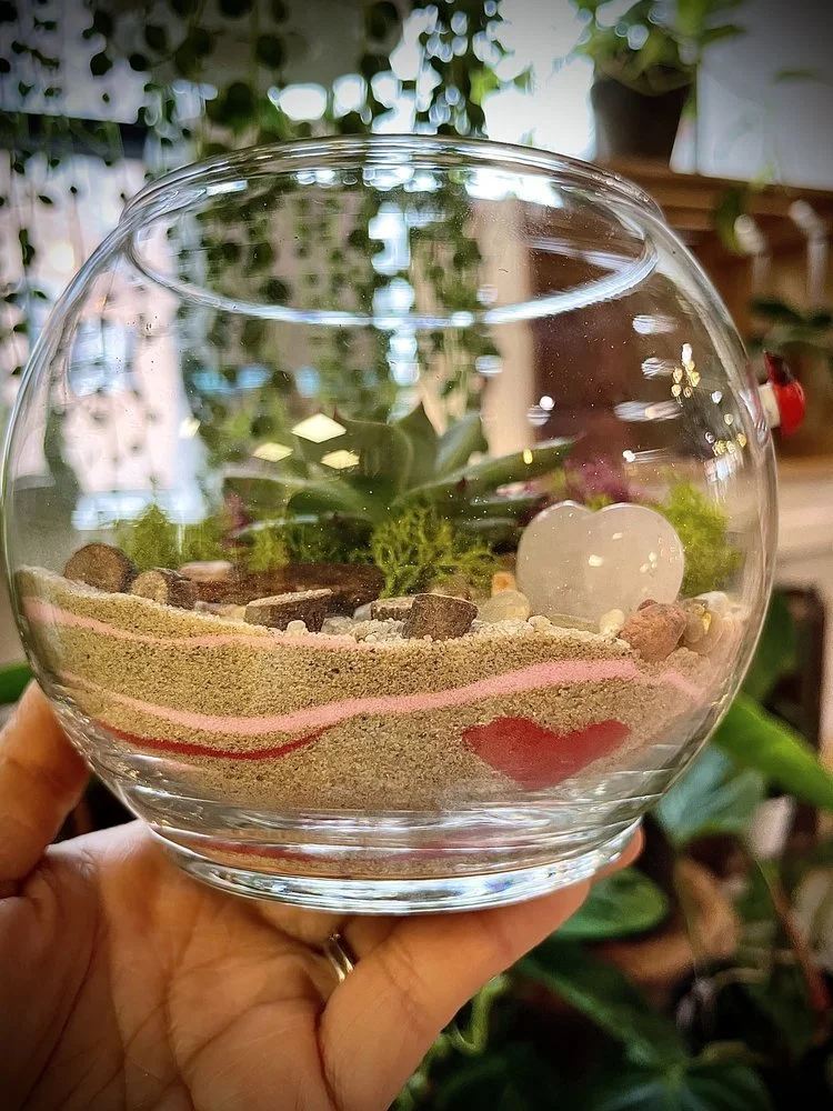 Terrarium Kits — Shop — Modern Terrarium Bar