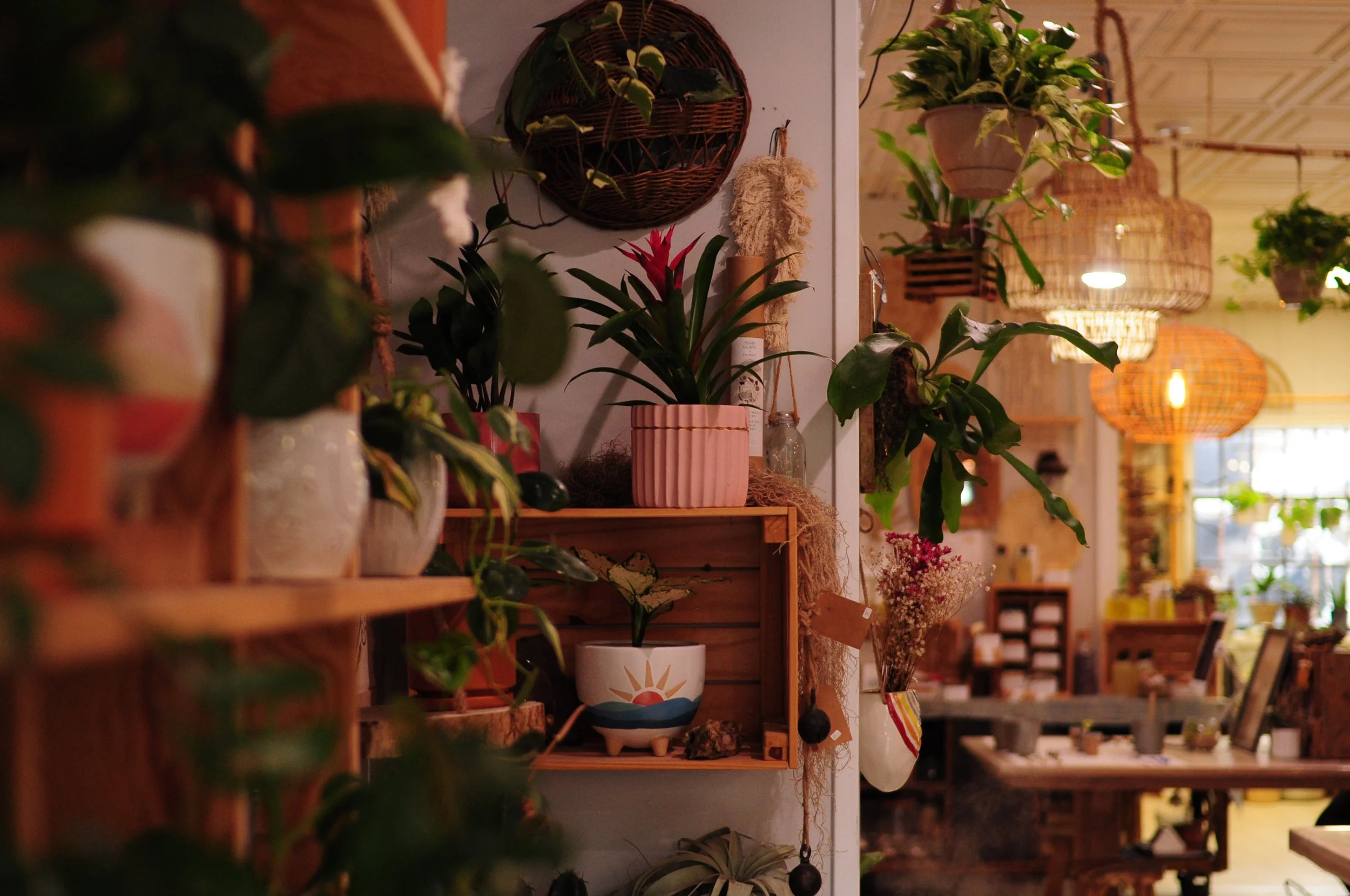 Modern Terrarium Bar | Create and Explore – Book Now