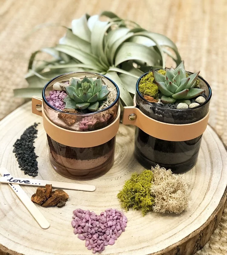 DIY Terrarium Bar — Modern Terrarium Bar