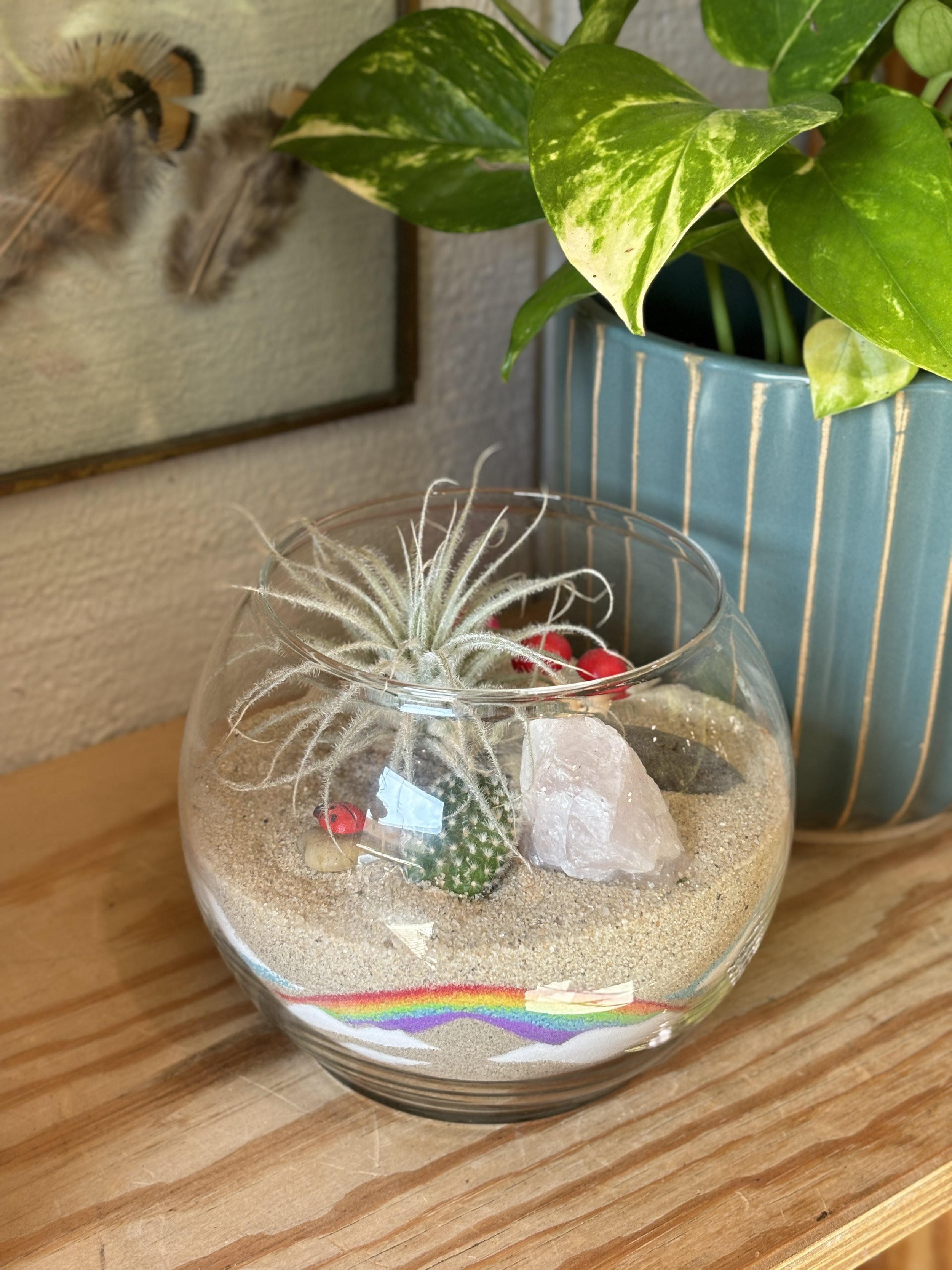 DIY Terrarium Bar — Modern Terrarium Bar