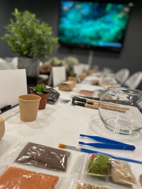 Modern Terrarium Bar