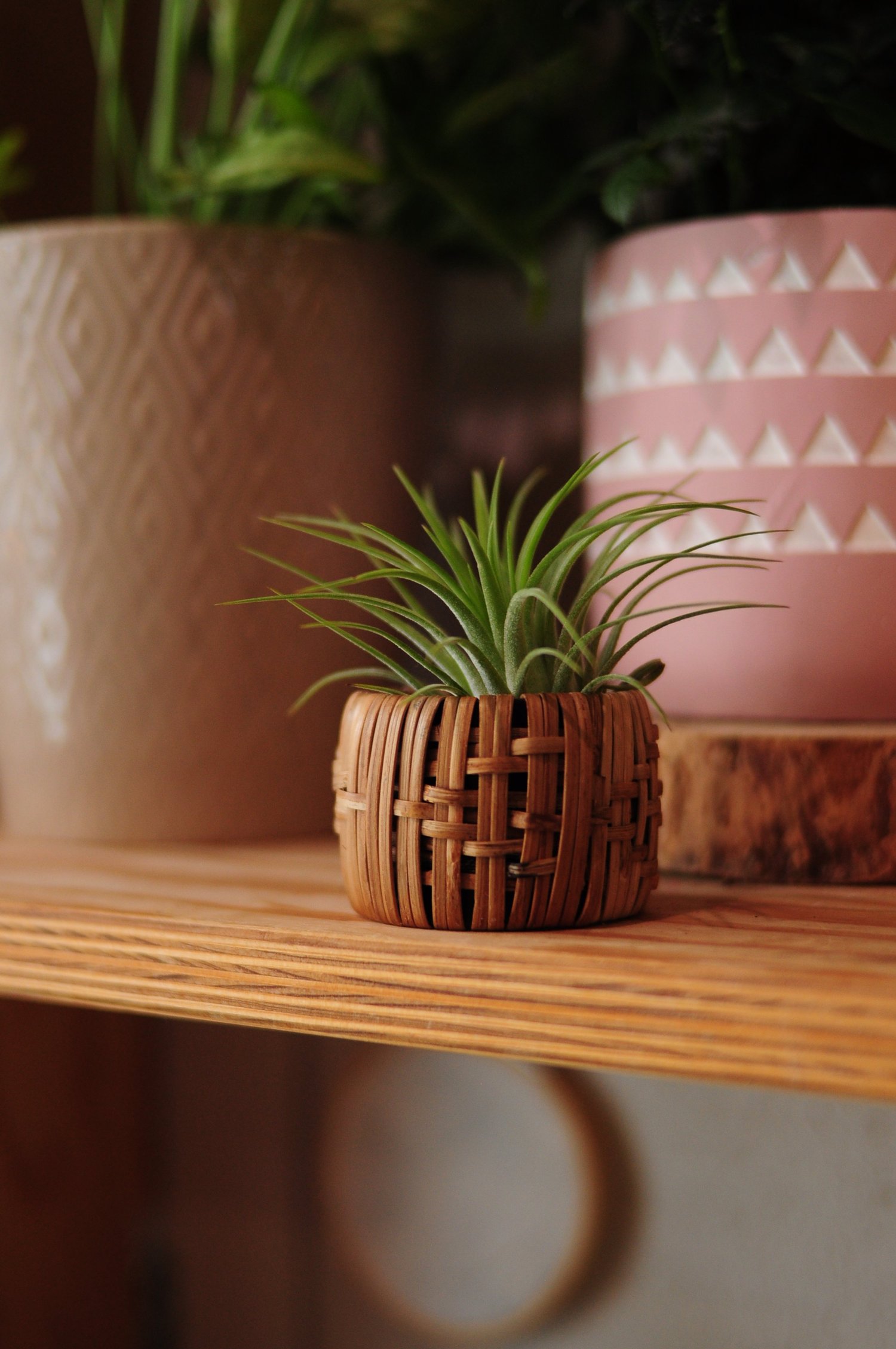 Modern Terrarium Bar | Create and Explore – Book Now